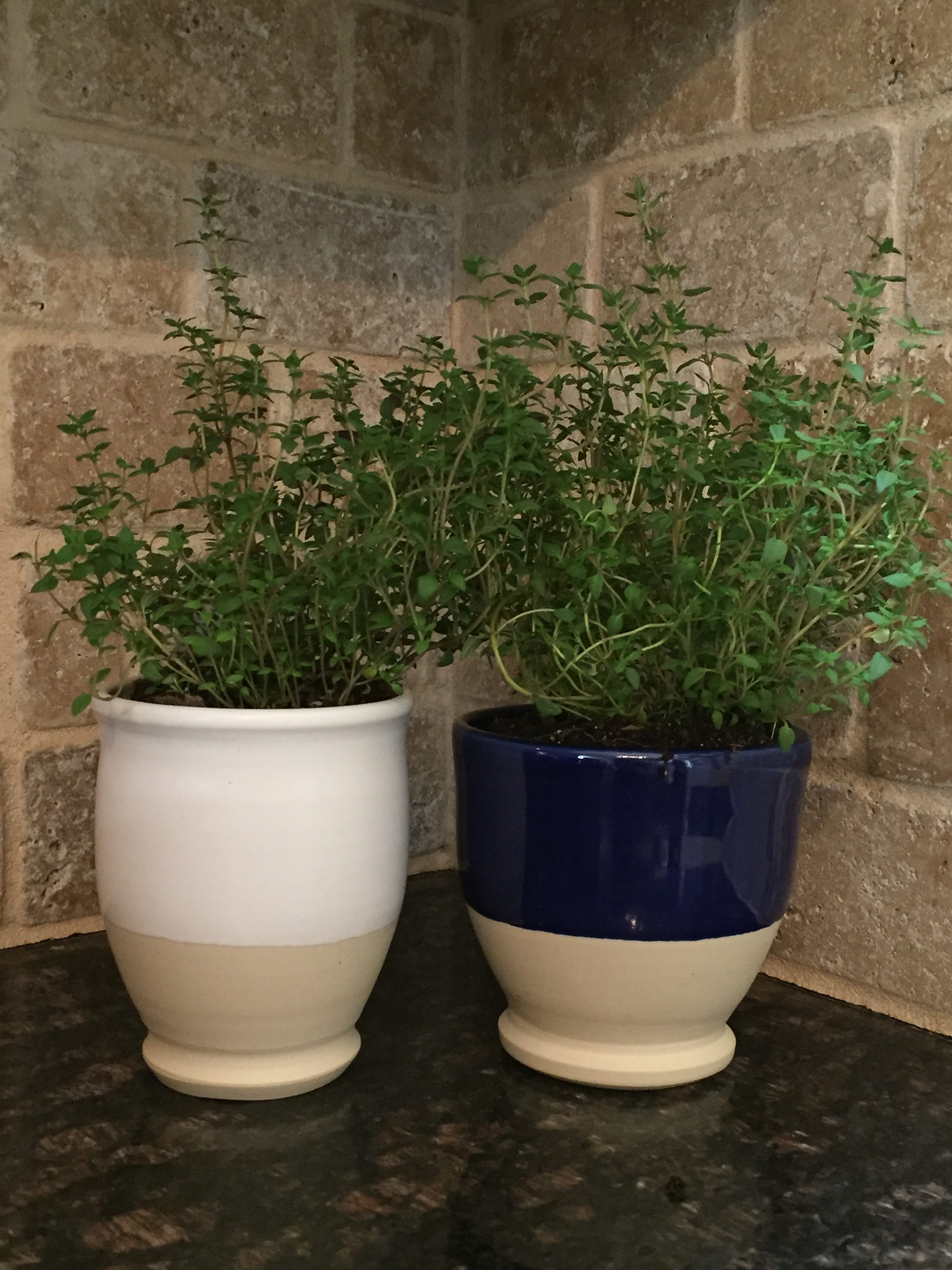 Kitchenware - Patneau Ceramics